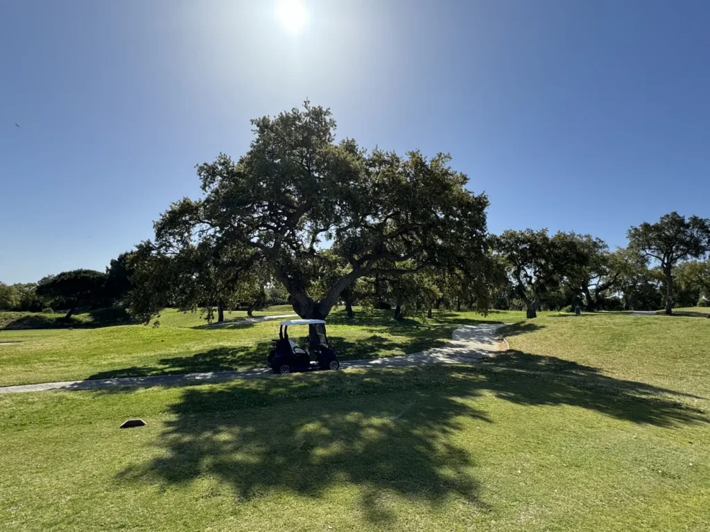 San Roque Golf & Resort - Golf Course in Sotogrande - San Roque Golf ...